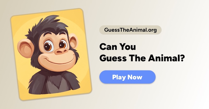 Guess The Animal - Daily Puzzle